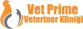 Vet Prime Veteriner Kliniği | Acil Veteriner, Serdivan, SAKARYA